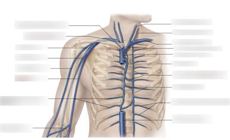 Figure 6 Diagram Quizlet