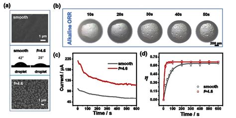 Fig S5 A Sem Images And Water Contact Angles Of Smooth Up And Download Scientific Diagram