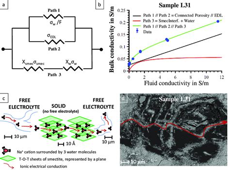 Conceptual Model For Electrical Conduction In Smectite Rich Rock Download Scientific Diagram