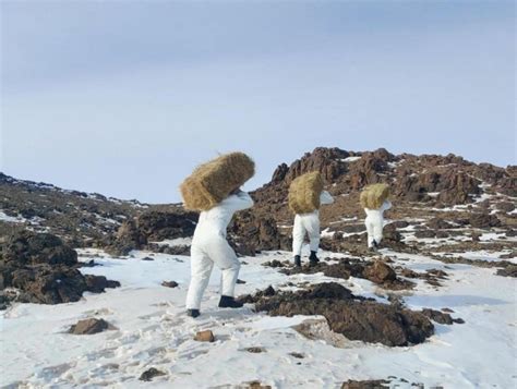 Зэрлэг амьтдад зориулан 100 боодол өвс байршуулан биотехникийн арга хэмжээг хэрэгжүүллээ