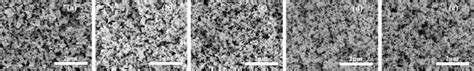 The Cross Section Microstructure Of The Sintered Microspheres With