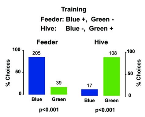 6 Context Dependent Learning And Recall Bees Can Learn To Choose One