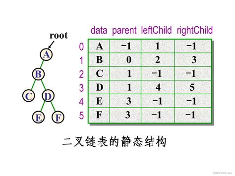 数据结构与算法要点总结（5）：树、二叉树、森林、堆、huffman树 数据结构与算法 森林 csdn博客