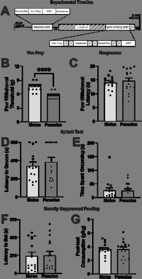 Experimental Timeline And Baseline Behavior A Timeline Of Entire Download Scientific Diagram