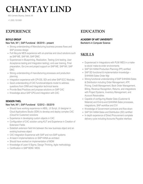 Sap Functional Resume Samples Velvet Jobs