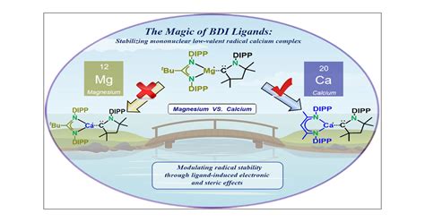 Chemical Bonding Of Low Valent Radical Magnesium Species And Computational Design Of Low Valent