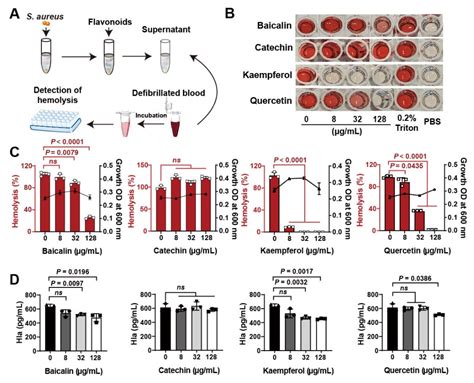 Suppressing Alpha Hemolysin As Potential Target To Screen Of Flavonoids