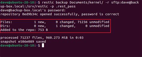 How To Use The Restic Backup Program On Linux