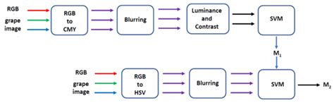 Block Scheme Of The Proposed Processing Pipelines Download