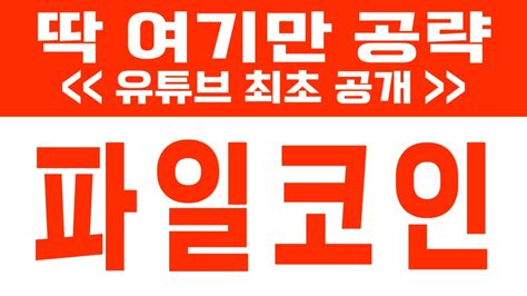 파일코인 코인 역대급 불장에서 수익 싹쓸이하자 파일코인코인파일코인코인전망 Youtube