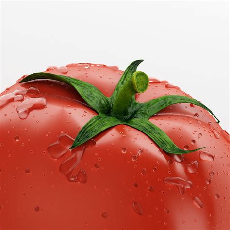 Realistic Model Free 3d Models Download Free3d