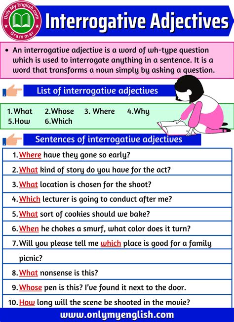 Interrogative Adjectives Definition Examples And List
