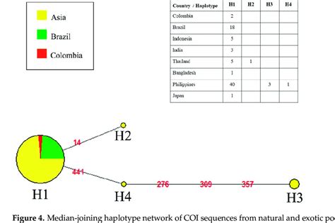 neighbor joining clustering of pterygoplichthys based on coi nucleotide