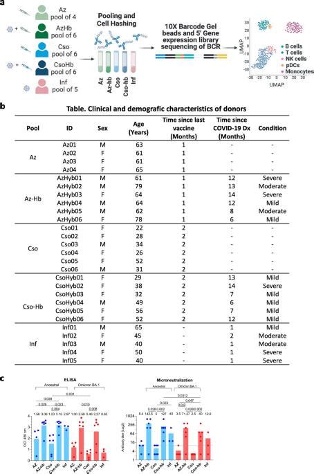 Comparative Single Cell Transcriptomic Profile Of Hybrid Immunity Induced… Jesús Hernández