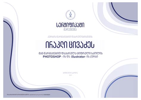 სერტიფიკატი ირაკლი ცივაძე ციფრული სკოლა