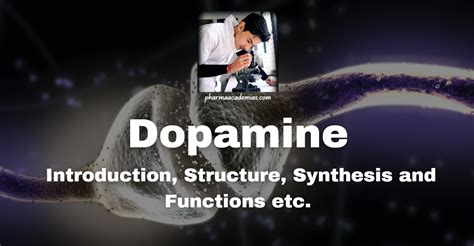 Dopamine Introduction Structure Synthesis And Functions Etc