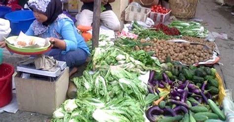Harga Berbagai Jenis Sayuran Di Ambon Normal KABAR KATANYA
