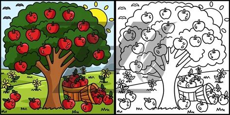 دانلود وکتور صفحه رنگ آمیزی درخت سیب دانلود رایگان فایل لایه باز، Psd
