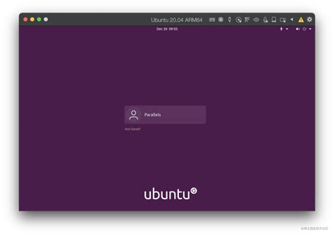 m1 m2 m系列芯片 mac 安装 parallels desktop 安装 linux 安装 ssh 安装 mysql 掘金