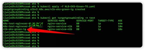 使用 aws alb ingress controller 的 targetgroupbinding 进行 eks 集群的蓝绿升级 亚马逊