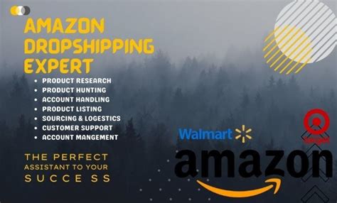 Amazon Dropshipping Expert Hubpages