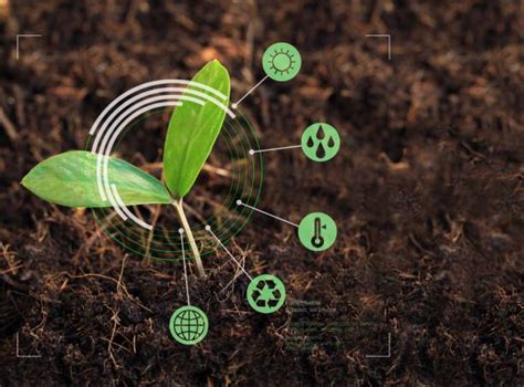 Physical Science Fundamentals Of Soil Science Quiz On Physical Science Fundamentals Of Soil