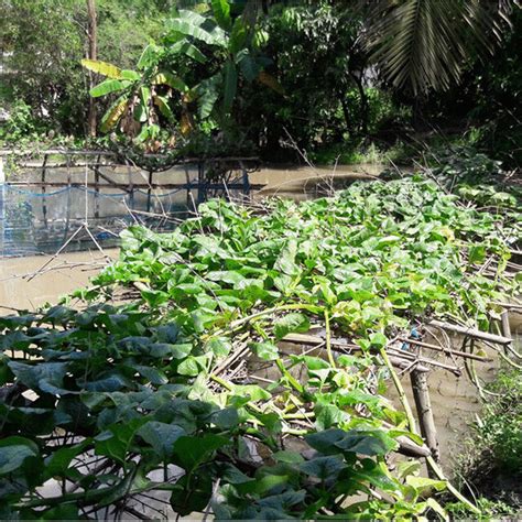 Overall Priority Scores Of Patharpratima Cd Block Download