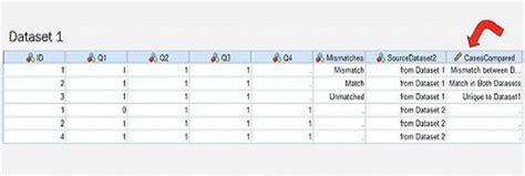 spss data view after the creation of a variable that cases originating