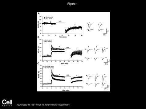 Yanghong Meng Yu Zhang Zhengping Jia Neuron Ppt Download