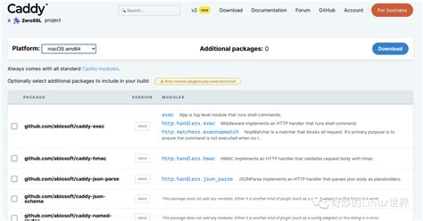 又一个比 Nginx 功能更强大的 Web 服务器 Caddy 20 中文入门教程 Csdn博客