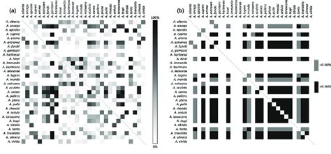 Matrices Of Percentage Of Overlapping Area In A And Genetic Distance Download Scientific