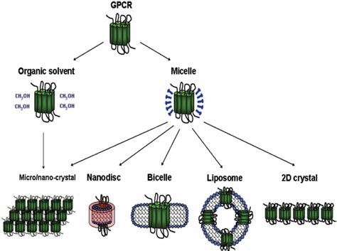 Schematic Representation Of Different Sample Environments For Nmr Download Scientific Diagram