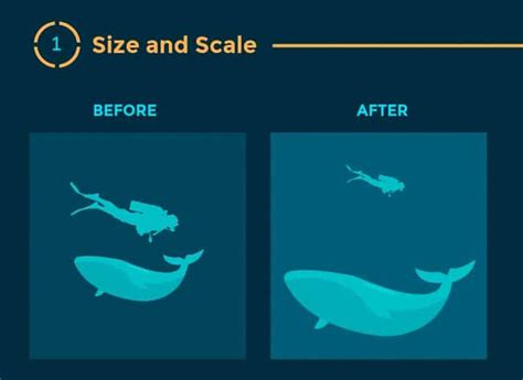 Principles Of Visual Hierarchy Webdevsupply