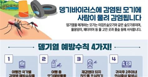 동남아 모기매개 감염병 주의지카바이러스 등 국내서 41명 보고