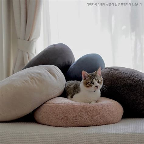 쉴 때에는 푹 쉴 수 있는 환경 만들기 뉴스 Muji