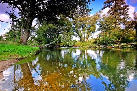 Page 13 Windows 11 Nature Screensaver Images Free Download On Freepik