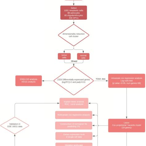 Workflow Of The Analytical Procedure For Constructing And Validating
