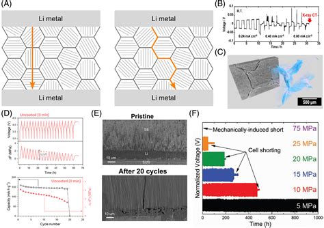 Advances Of Sulfide‐type Solid‐state Batteries With Negative Electrodes Progress And