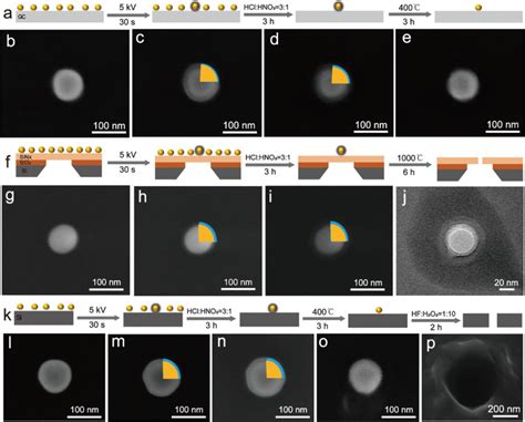 Preparation And Structural Characterization Of Individual Au Download Scientific Diagram