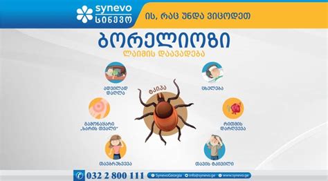 ინფექციური დაავადებები Archives Synevo