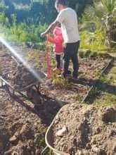 Unearthing Vigor How To Remedy Soil Compaction For Garden Prosperity