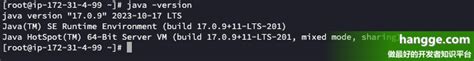 CentOS下JDK17安装教程详解OpenJDK和Oracle JDK CentOS下JDK17安装教程详解OpenJDK和Oracle JDK