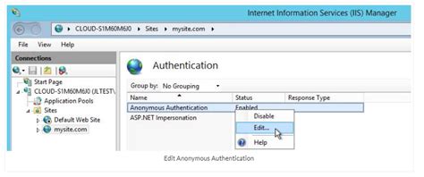 How To Create Website On Window Server Through IIS Help Buzinessware