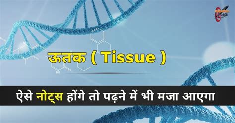 ऊतक Tissue परिभाषा एवं जंतु उत्तक