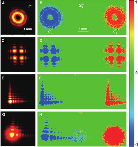 Left Column Shows The Intensity Patterns Of Three Typical Linear Download Scientific Diagram