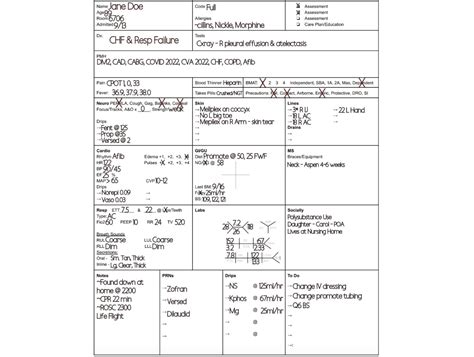 Nursing Icu Report Sheet Nurse Brain Digital Download Nursing Rn