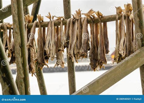 Detail Of A Typical Norwegian Drying Rack For Cod Fish Stock Image