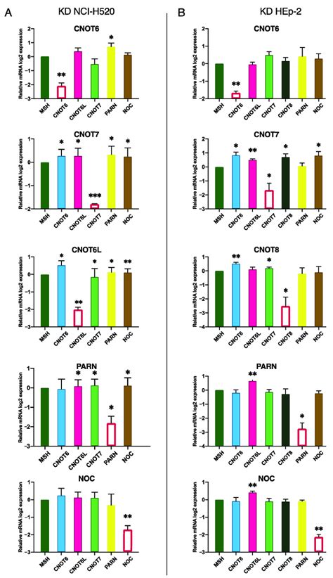 The Silencing Of A Deadenylase Affects The Expression Of Other