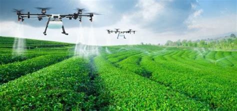 Parallel Robots Advantages Disadvantages What Can Parallel Robots Do