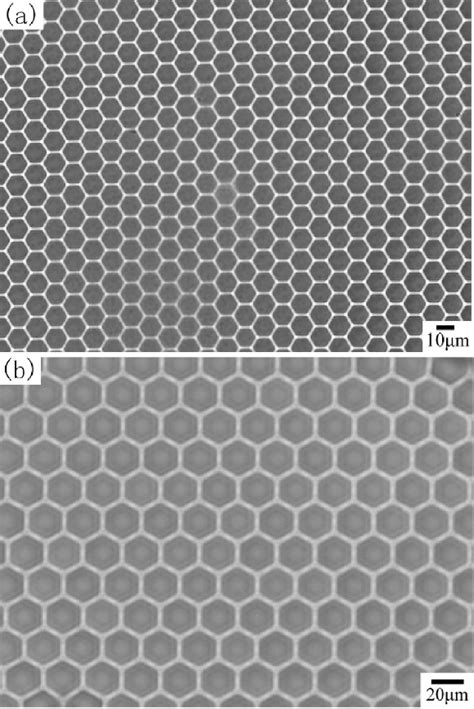 Figure 1 From Fabrication Of Microwell Arrays Based On Two Dimensional